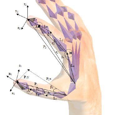 Vectorial Representation Of The Inverse Kinematic Model Download Scientific Diagram