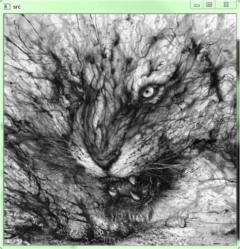 Opencv3c 离散余弦变换dctopencv C离散余弦变换代码 Csdn博客