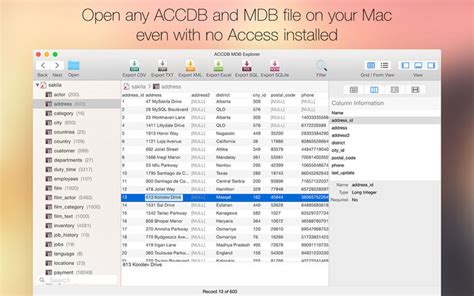 Accdb Mdb Explorer Open View And Export Access Files For Mac Download
