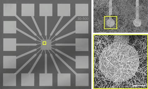 Experimental Brain Like Computing System More Accurate With Custom Algorithm Ucla