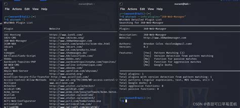 web 扫描神器：whatweb 保姆级教程（附链接） csdn博客