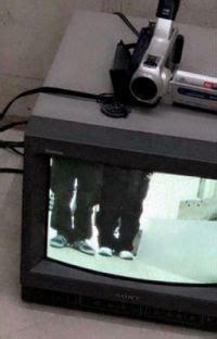 Hiccup Sick Fawn Bridger Wattpad