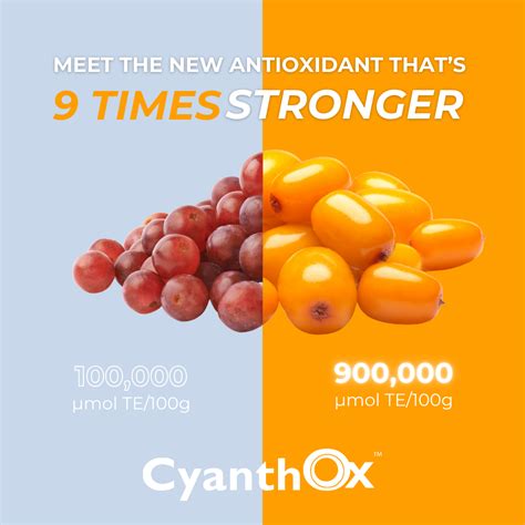 Revolutionary Antioxidant For Better Cholesterol Balance — Puredia