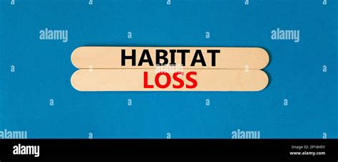 Habitat Loss Symbol Concept Words Habitat Loss On Wooden Sticks Beautiful Blue Table Blue