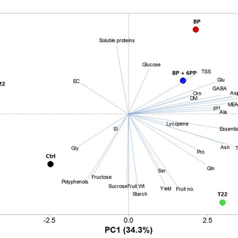 Principal Component Loading Plot And Scores Of Principal Component