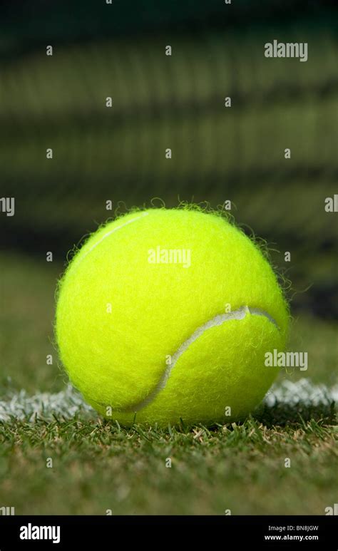Rasen Gelber Tennisball Fotos Und Bildmaterial In Hoher Auflösung Alamy