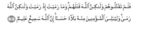 Surah Al Anfal Verse 17