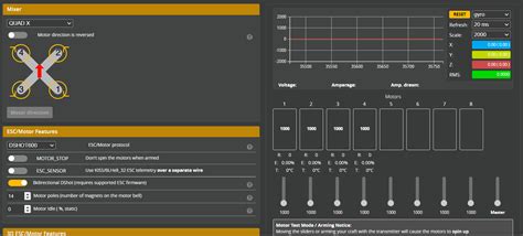 Motors Tab Betaflight