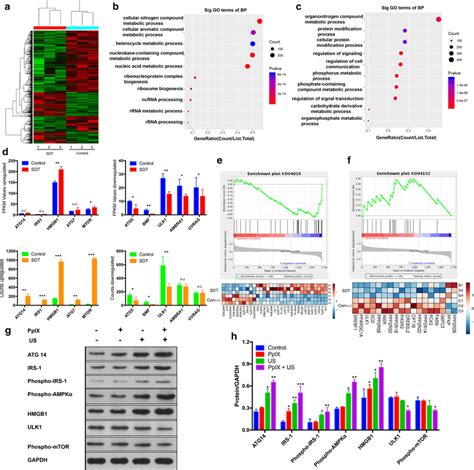 Transcriptome High Throughput Sequencing Of Mrna Expressions With Sdt