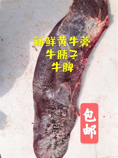 牛胰子牛胰大山谷图库