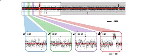 An Example Of Simulated Cnv Data On Chromosome 1 The Data Set Download Scientific Diagram