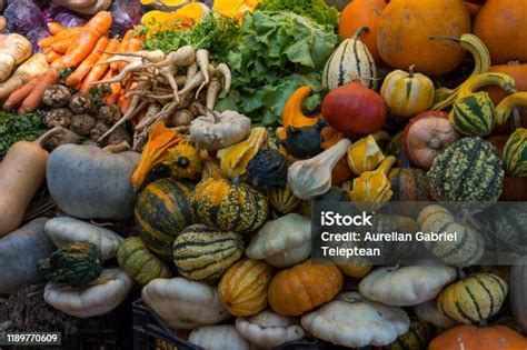 전체 식품 시장에서 가을 색상 호박 가을 영감 컬러 팔레트 가을 채소 시장 스쿼시와 호박의 다양한 가을에 대한 스톡 사진 및 기타 이미지 Istock