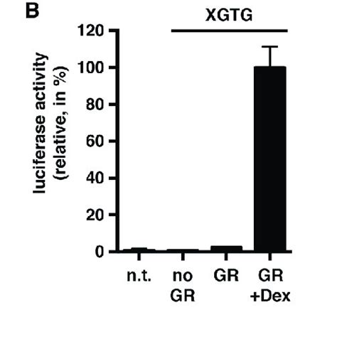 General Scheme Of The Secreted Dual Reporter Assay The Strategy Download Scientific Diagram