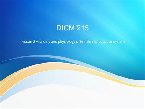 SOLUTION Anatomy And Physiology Of Female Reproductive System Lesson Studypool