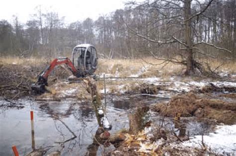 The Excavator Installing The So Called Bottom Glide Shortly Before The Download Scientific