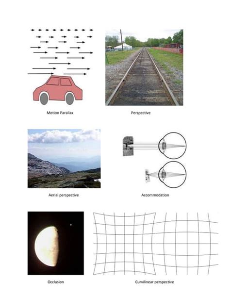 Motion Parallax Perspective Pdf