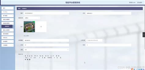 Java计算机毕业设计短信平台管理系统（开题程序论文） Csdn博客