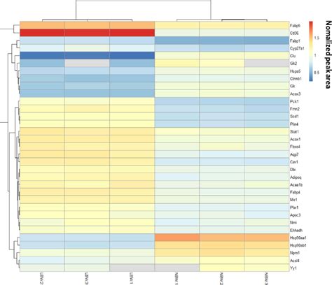 Ppar Pathways Cluster Analysis Heatmap Download Scientific Diagram