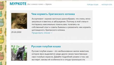 Сайты для кошатников: топовая десятка для тех, кто живет с котами