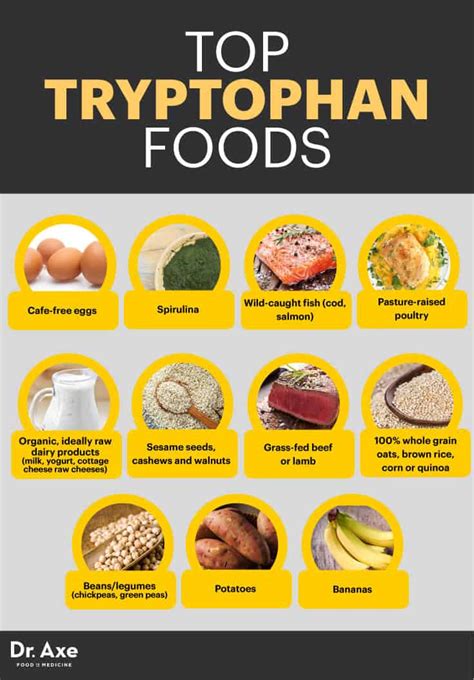 Tryptophan Alchetron The Free Social Encyclopedia