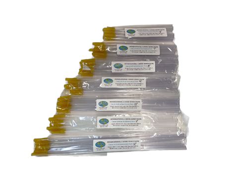 Artificial Insemination Rods 12 Pack International Canine Semen Bank