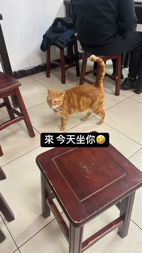 Photo Posted By Shiang Chen Shiang1017