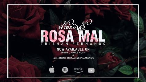 Rosa Mal Official Lyrics Video Youtube