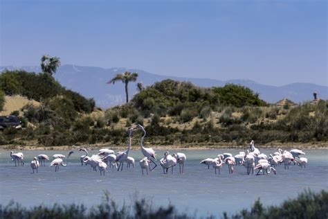 Welcome To British Forces Cyprus The Central Point For All