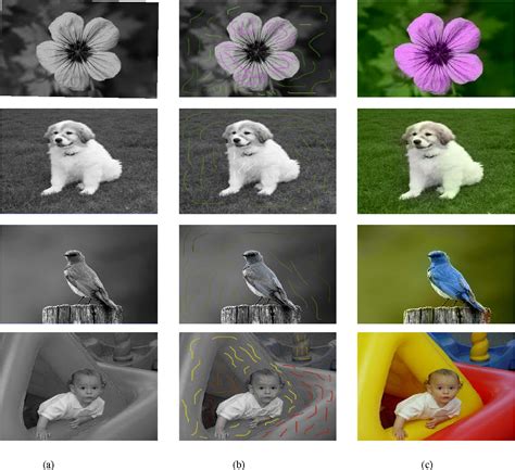 figure 3 from image colorization with edge detection and sub sampling