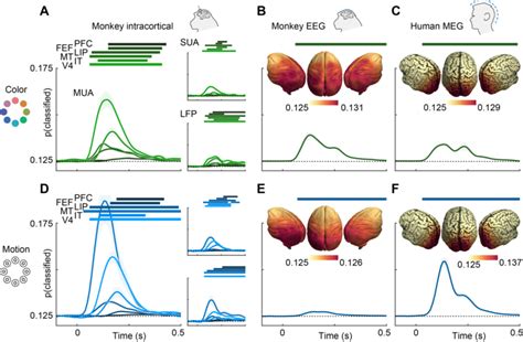 Color And Motion Direction Information Across Areas And Measurement