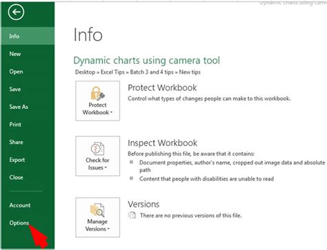 Dynamic Charts Using Camera Tool In Microsoft Excel 2010