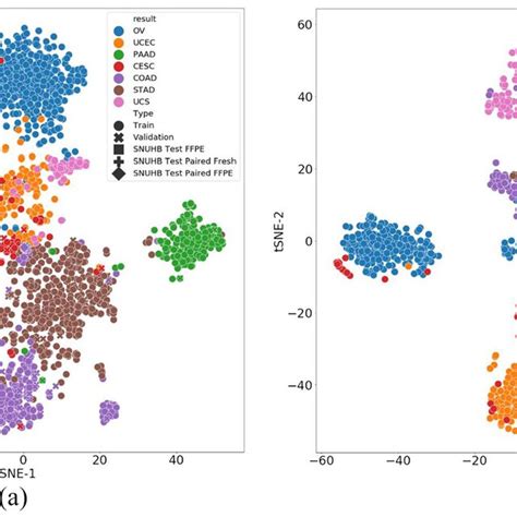 T Sne Analysis Of The Validation And Test Set With The Clusters Of The Download Scientific