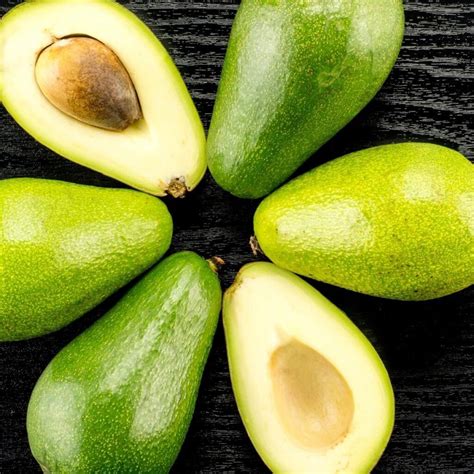 Avocado Varieties