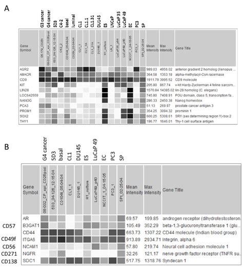 Differential Gene Expression Among Cancer Cell Types A Shown Is The