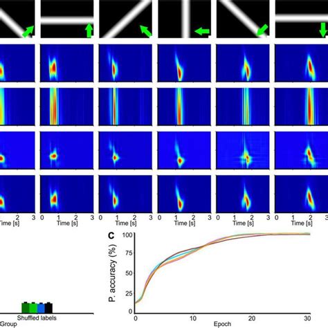 Intracranial Electrophysiology With Srcs Visual Stimulation Protocol Download Scientific