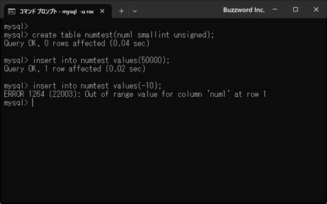Mysql 整数型tinyint Smallint Mediumint Int Bigint