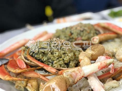 대게 대게딱지비빔밥 해산물 홍게 갑각류 사진 이미지 일러스트 캘리그라피 마이다니바니작가