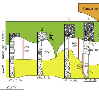 Columnar Cross Sections Of The Fossil Site Location Of Each Section In Download Scientific