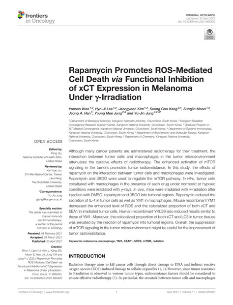 Pdf Rapamycin Promotes Ros Mediated Cell Death Via Functional