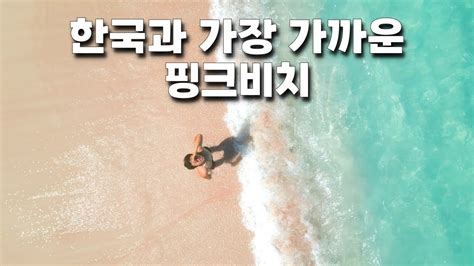 천국 같았던 핑크비치 🇮🇩인도네시아6 Youtube
