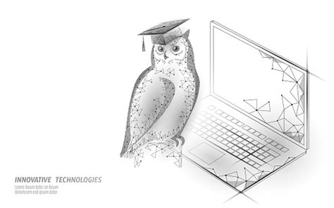 현명한 교육의 올빼미 조류 기호 E러닝 거리 개념 대학원 인증서 국제 글로벌 프로그램 개념 낮은 폴리 3d 인터넷 교육 과정 세계지도 벡터 일러스트레이션 3차원 형태에 대한