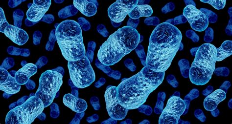 Potential Causal Link Between Gut Microbiota And Endometrial Cancer Docwire News