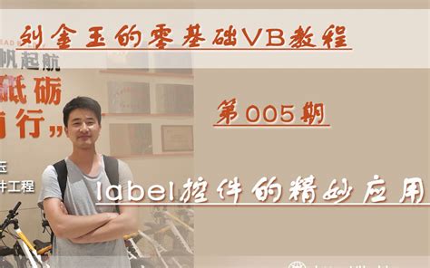 零基础vb教程005期：label控件的精妙应用 哔哩哔哩