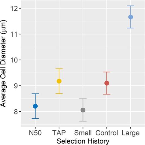 Average Cell Diameter Measured At The End Of Exponential Growth Phase