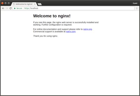 Wwang Create A Self Signed Certificate For Nginx