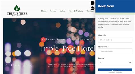 Showcase Real Client Examples BNBForms
