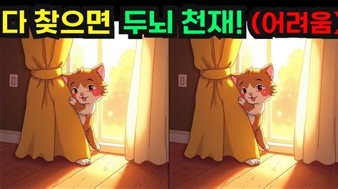 치매예방틀린그림찾기 🔥다 찾으면 두뇌 천재 어려움 다른그림찾기 두뇌운동 Youtube