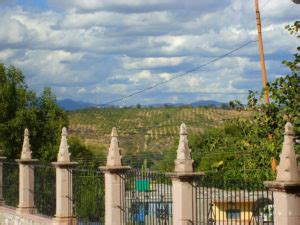 December Guava Fair In Calvillo Aguascalientes Mexconnect