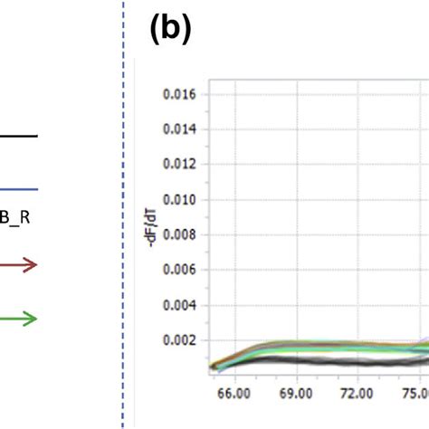 A Design Of The Multiplex Allele Specific Pcr For The Detection Of