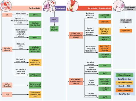 Antithrombotic Therapy For Primary And Secondary Prevention Of Ischemic